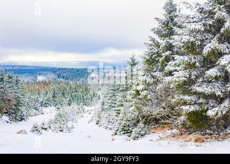Snowed in icy fir trees and landscape at Brocken mountain in Harz ...