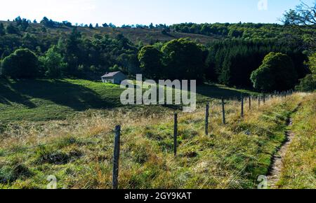 Farm (Jasserie), summer pasture specific to the Forez mountains at col ...