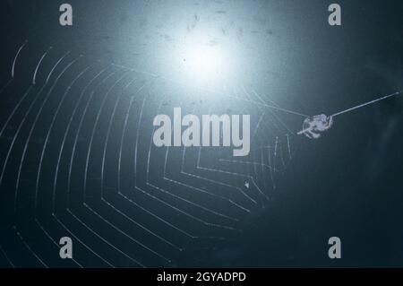 Triangle horror cobweb or spider web isolated on black background ...