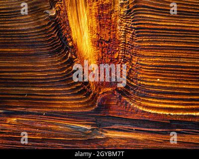 The texture of the longitudinal section of wood with knots. Background ...