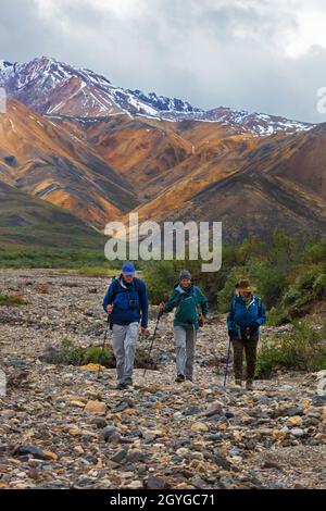 View of the Polychrome Hills and the Alaska Range and the Toklat River ...