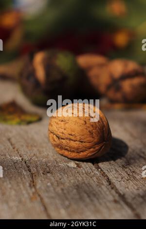 A closeup shot of a walnut fallen on the ground Stock Photo - Alamy