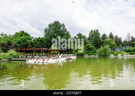 Bucharest, Romania - 29 May 2021: Landscape with lake and vivid green ...