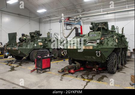 A 'Stryker' Nuclear, Biological, Chemical Reconnaissance Vehicle (NBC ...