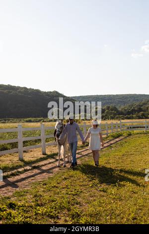 The young bearded man leads a white horse. The beautiful young woman is ...