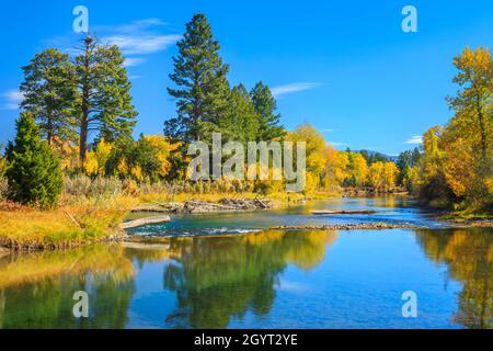 eagle nest and fall colors along the blackfoot river near ovando ...