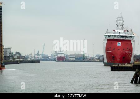 VOS PARADISE, Offshore Tug, Supply Ship Stock Photo - Alamy