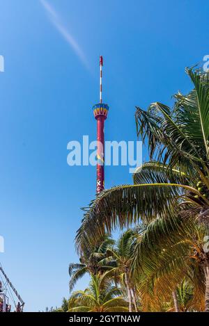 low angle view of coconut tree against blue sky Stock Photo - Alamy
