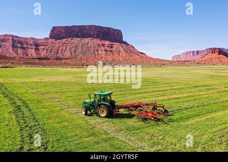 A rotary rake combining smaller windrows of hay into one larger row for ...
