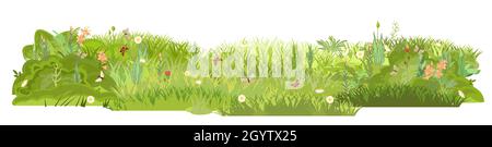 Dense summer meadow with flowers. Butterflies. Grassy lawn green ...