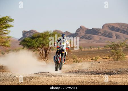 52 Walkner Matthias (aut), Red Bull KTM Factory Racing, KTM 450 Rally ...