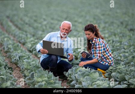 Young farmer with laptop squatting in field in front of tractor with ...