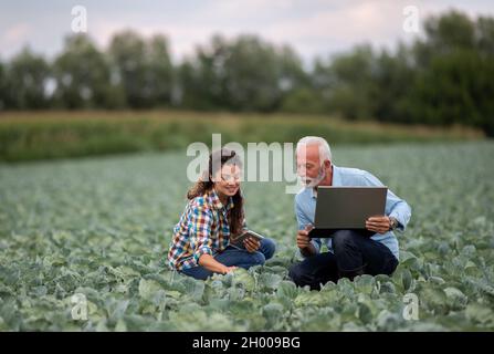 Young farmer with laptop squatting in field in front of tractor with ...