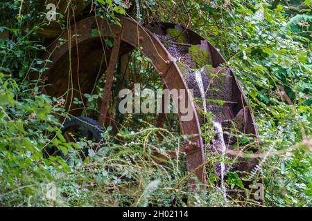 an overgrown rusted iron water wheel with flow running down the front ...
