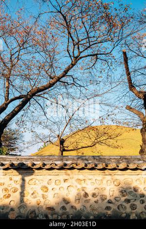 Daereungwon ancient tombs at autumn in Gyeongju, Korea Stock Photo - Alamy