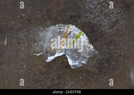 Ice block laying on ice surface, selective focus Stock Photo - Alamy