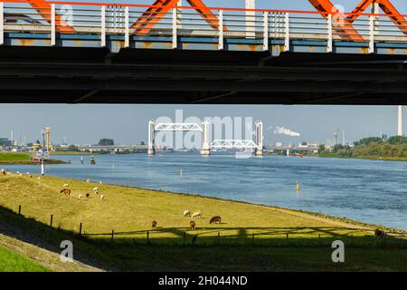 The Botlekbrug (Botlek bridge), a lifting bridge for road and rail ...