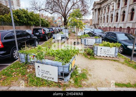 Condell Growers and Sharers Community Garden Stock Photo - Alamy