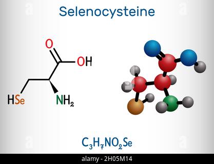 Selenocysteine chemical formula. Selenocysteine structural chemical ...