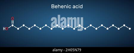 Behenic acid, molecule. It is docosanoic acid, straight-chain, long ...
