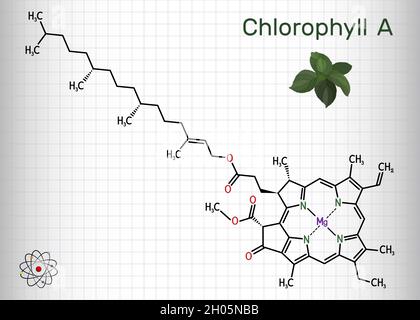 Chlorophyll A, chlorophyll molecule. It is photosynthetic pigment used ...