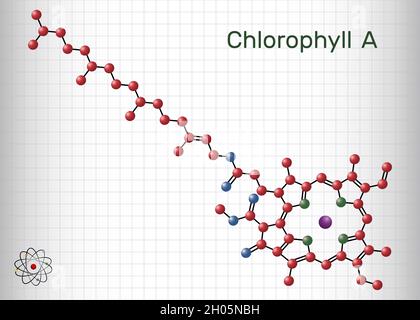 Chlorophyll A, chlorophyll molecule. It is photosynthetic pigment used ...