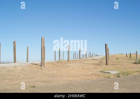Pole Field - grid of truncated wooden poles planted in undulating ...