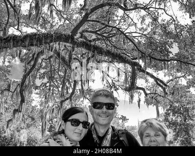 Beautiful Caucasian family selfie under a tree Stock Photo - Alamy