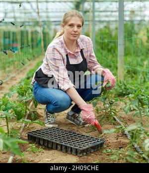 Portrait of adult female worker weeding with hoe beds at organic ...