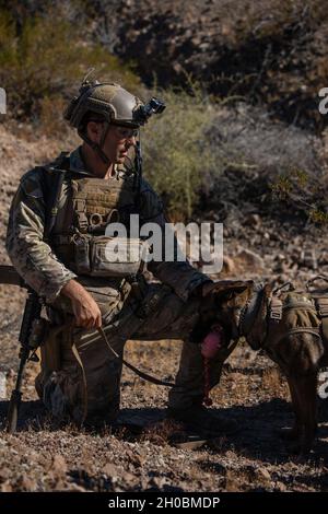 A special operations multi-purpose canine leads his handler toward a ...