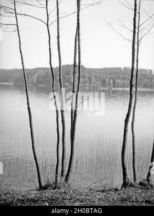 Landschaft in der Gegend um Treuburg in Masuren, Ostpreußen, 1930er ...