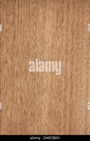 OKOUME, AUCOUMEA KLAINEANA Stock Photo - Alamy