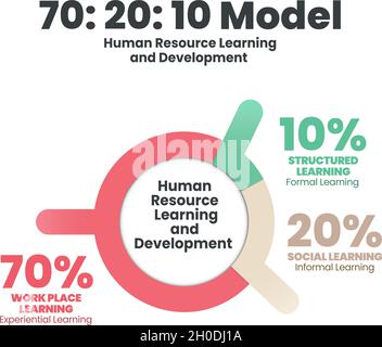 HR learning and development 3d pie chart vector diagram is illustrated ...