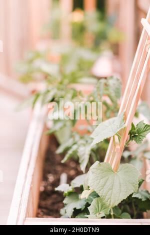 Simple small patio with small garden Stock Photo - Alamy