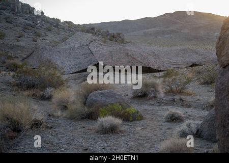 The sailors of Forward Resuscitative Surgical System and Shock Trauma ...