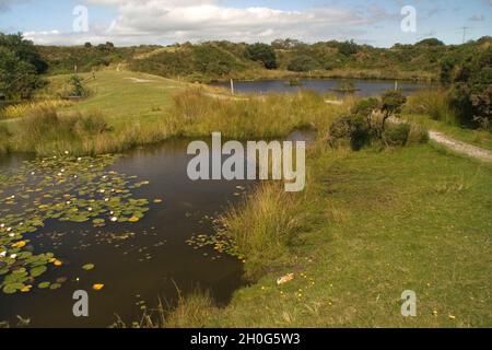 Cadover fishing lakes Stock Photo - Alamy