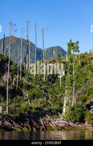 Port Hardy Landscape - North Island, Vancouver Island, British Columbia ...
