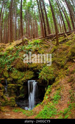 Alice Lake Loop trail to Eternal Falls Fountain Stock Photo - Alamy