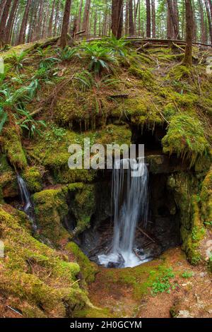Alice Lake Loop trail to Eternal Falls Fountain Stock Photo - Alamy