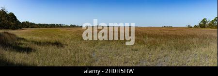 Expansive view of treeline with blue sky and water in Juanita Bay Stock ...