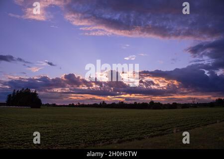 Magnificent sunset skies above a green crops field of a farm land Stock ...