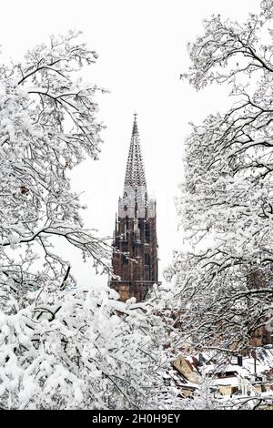Winter atmosphere with snow, Freiburg Cathedral, Freiburg im Breisgau ...