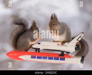 Red squirrels standing with an rocket with a Space Shuttle Stock Photo ...