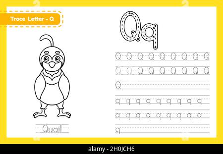 Quail Animal Tracing Letter ABC Coloring Page Q Stock Vector Image ...
