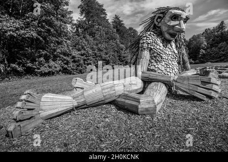 Forest Giants in a Giant Forest - Bernheim Forest - Clermont, Kentucky ...