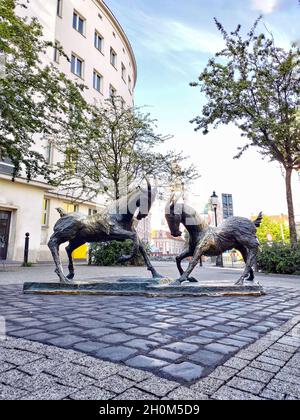 POZNAN, POLAND - Aug 28, 2021: A vertical shot of the goats' statue ...