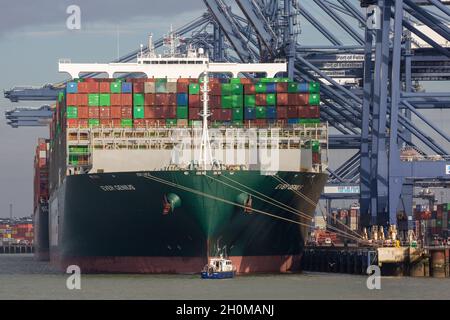 Evergreen Container Ship - The Ever Genius container ship unloading ...