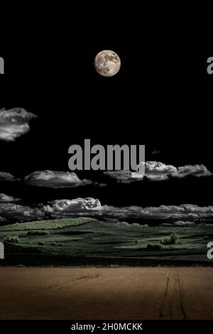 Infrared multi colored landscape with the moon and stars above the ...