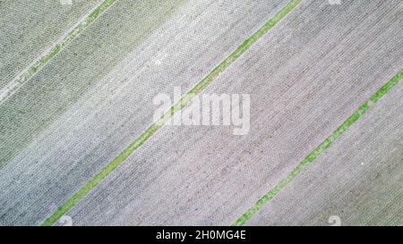 Beautiful natural Patterns of Farmfields in Countryside at Summer ...