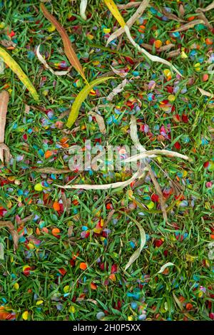 Confetti on grass Stock Photo - Alamy